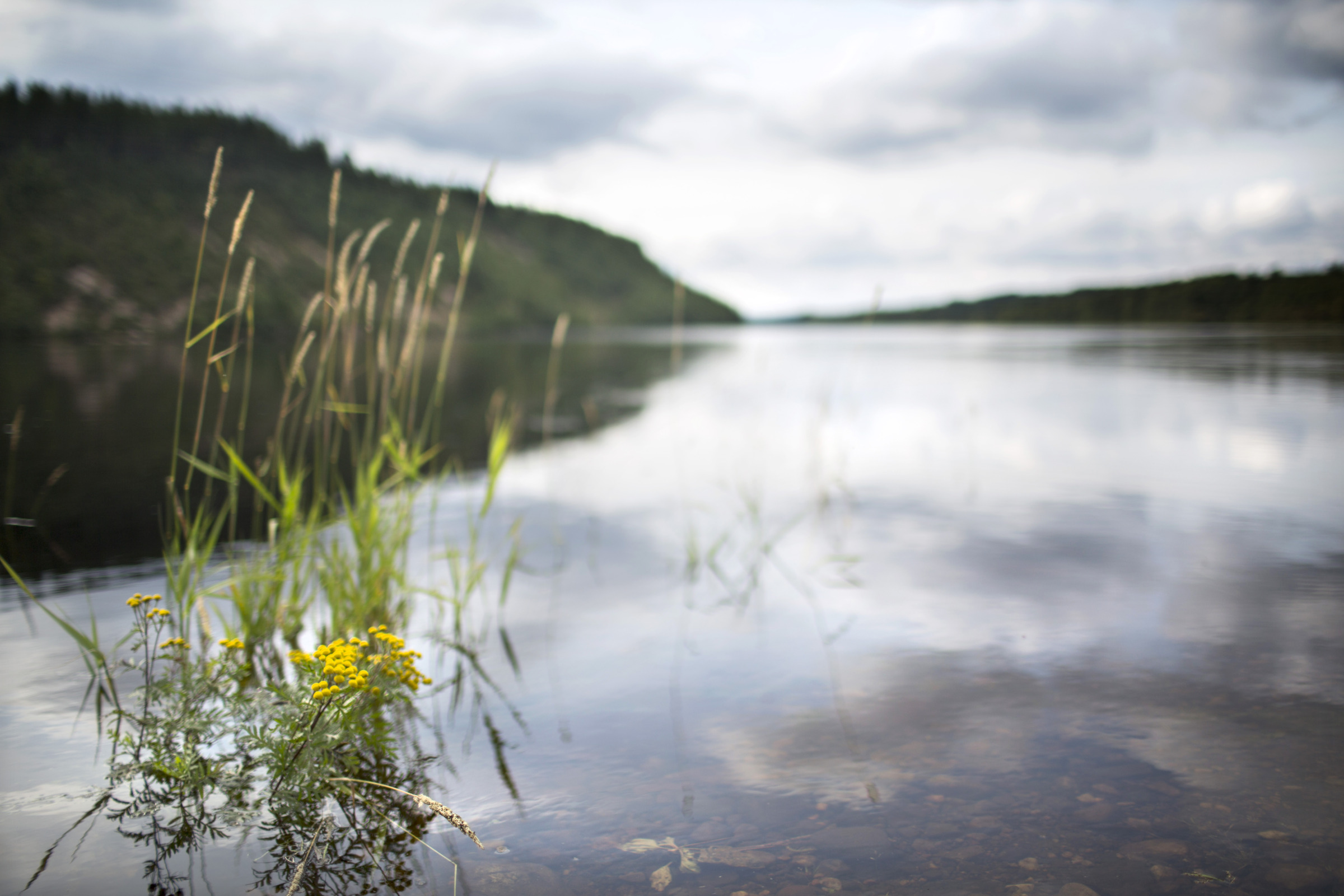 Julkaisut ja raportit | Kemijoki Oy